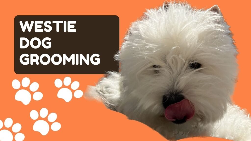 Westie Dog Grooming: Comprehensive Guide